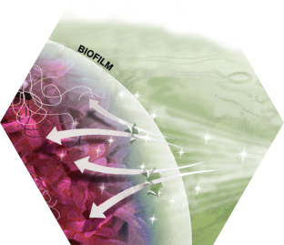 The Bactronix "BATC" Program: What Sets Us Apart