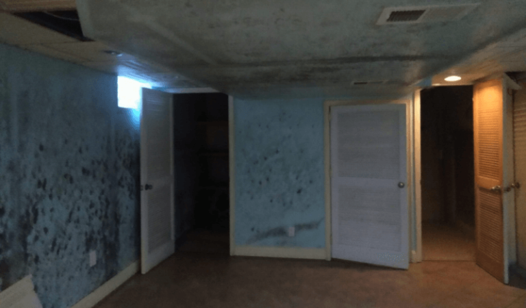 Bactronix is Pittsburgh's Premier Mold & Disinfection Experts