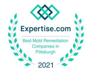 Mold Removal, Disinfection & Restoration Company Pittsburgh