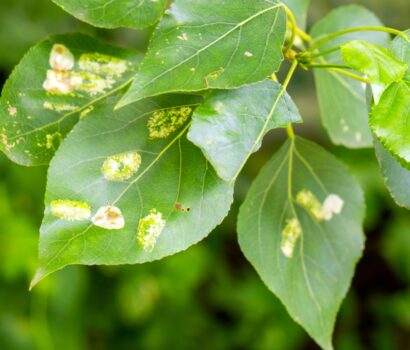 Bactronix | Disinfecting & Mold Removal Company Pittsburgh