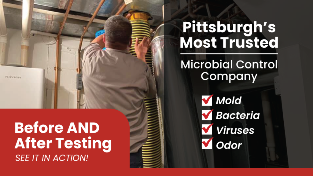 Mold Removal, Disinfection & Restoration Company Pittsburgh